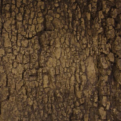 Flexbark | FauxStoneSheets | Faux bark and replicated trees ...
