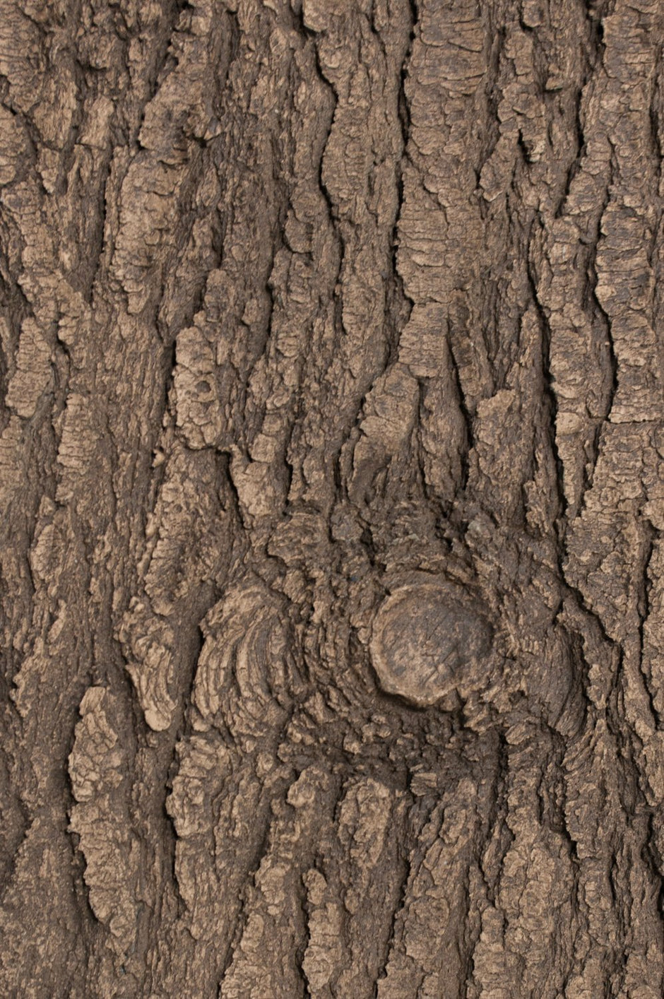 Flexbark Faux Panels | Realistic Faux Bark & Tree Replications ...