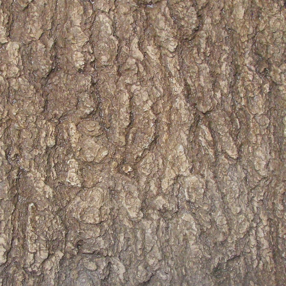 Flexbark Faux Panels | Realistic Faux Bark & Tree Replications ...