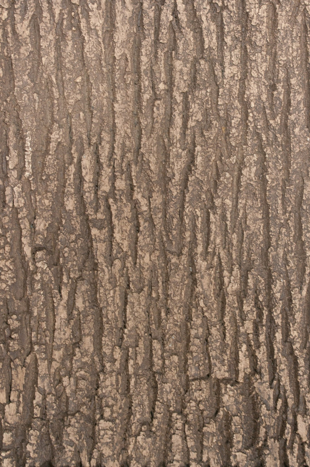 Flexbark Faux Panels | Realistic Faux Bark & Tree Replications ...