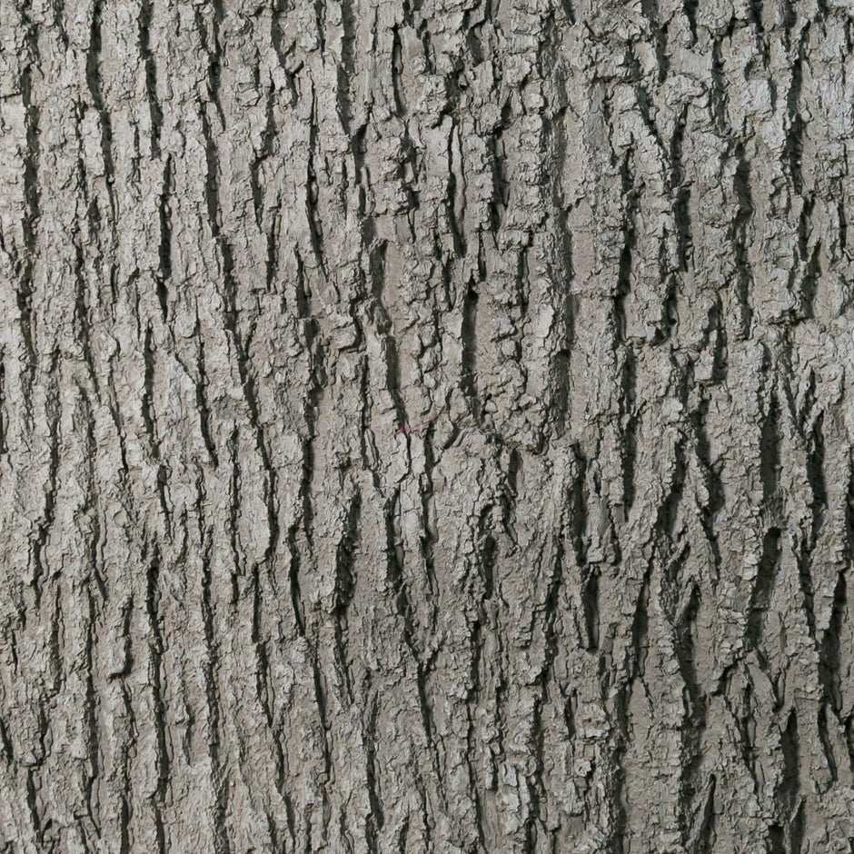 Faux Stone, Brick & Wood Panel Samples | Rebate With Full Purchase ...